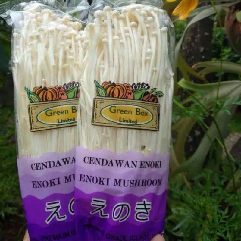Jual JAMUR ENOKI 1 PACK | Shopee Indonesia