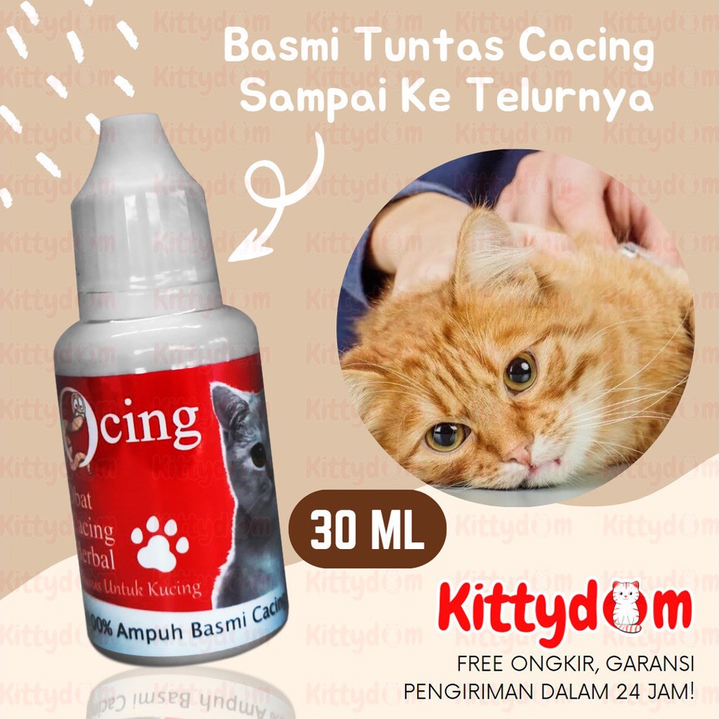 Jual KITTYDOM Ocing Obat Cacing Herbal Kucing Sakit Cacingan Kurus Lesu ...