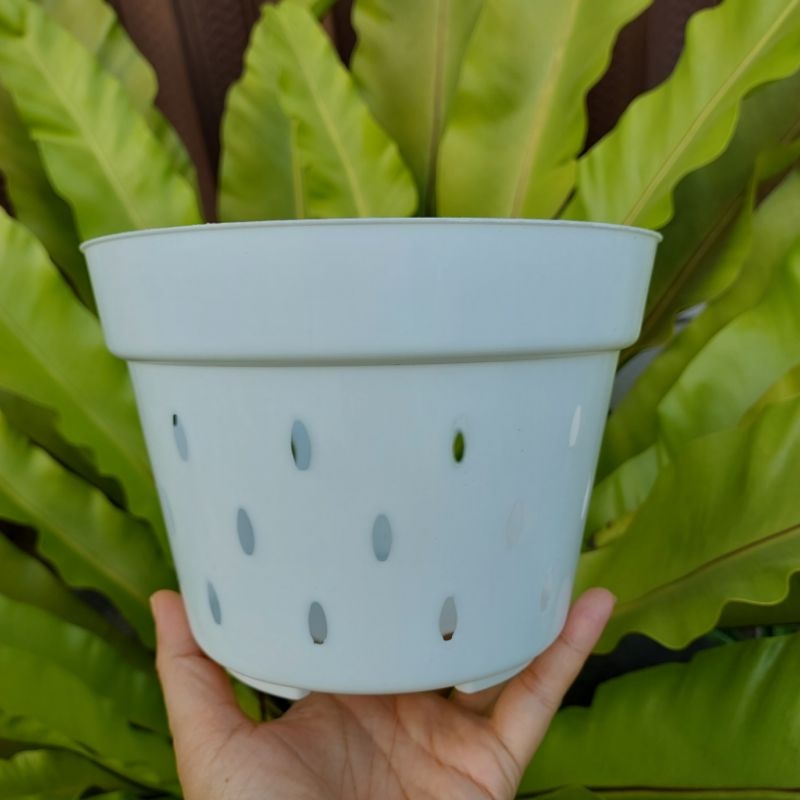Jual (1pc) POT POROS : pot bunga banyak lubang bolong bolong poros 15 ...