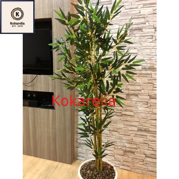 Jual Pohon bambu jumbo dengan pot minimalis | Shopee Indonesia