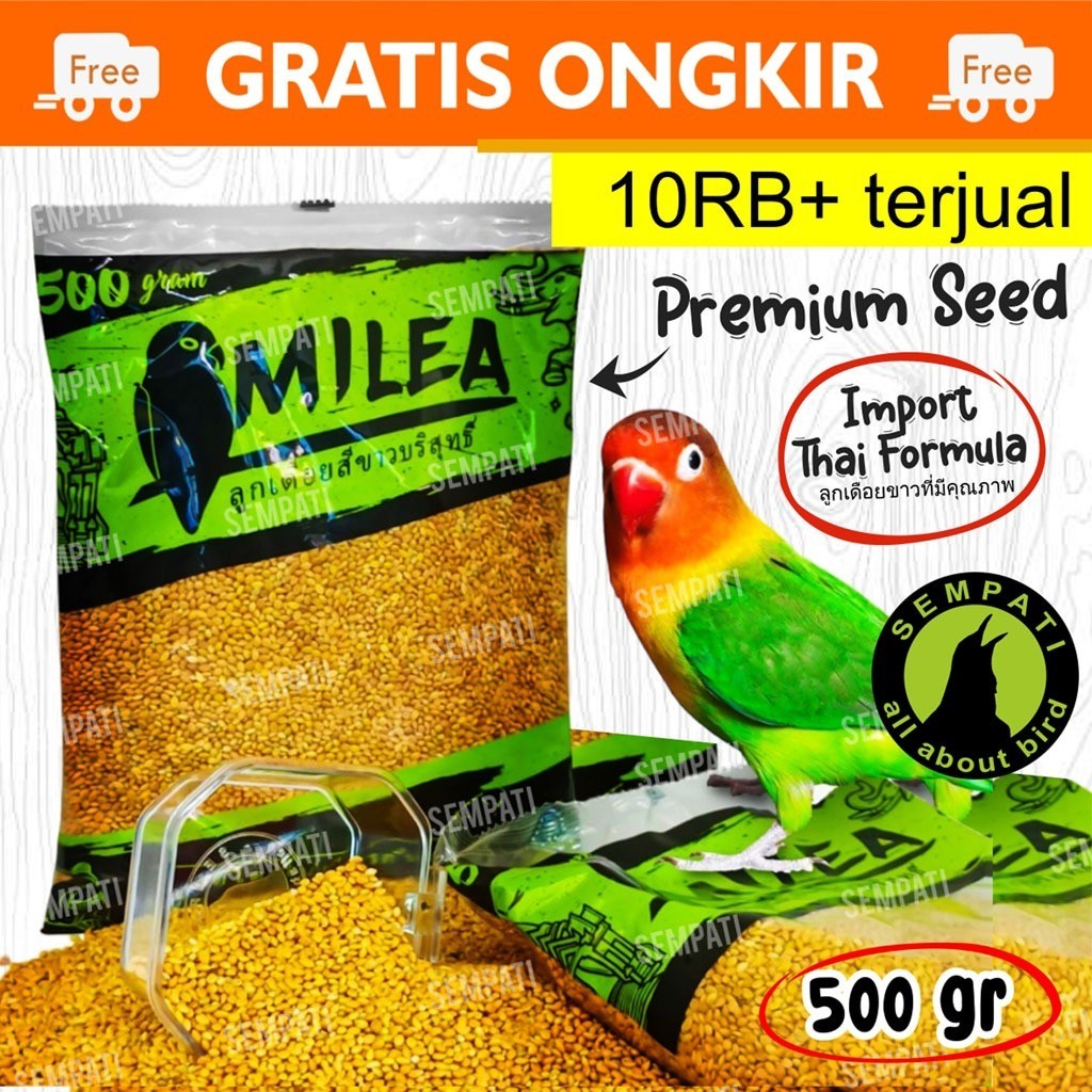 Jual SEMPATI MILET PUTIH MILEA SEMPATI PAKAN BURUNG LOVEBIRD LOVE BIRD ...