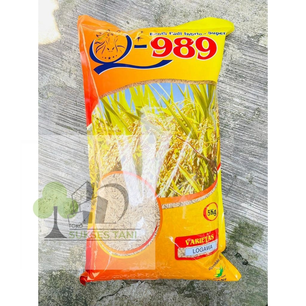 Jual Benih Padi Inbrida Super Q-989 kemasan 5kg S Varietas Logawa | Shopee Indonesia