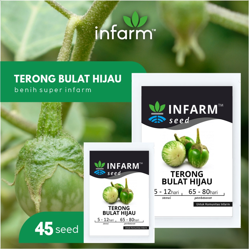 Jual INFARM - Benih Bibit Biji Super Terong Bulat Hijau / Terong Lalap ...