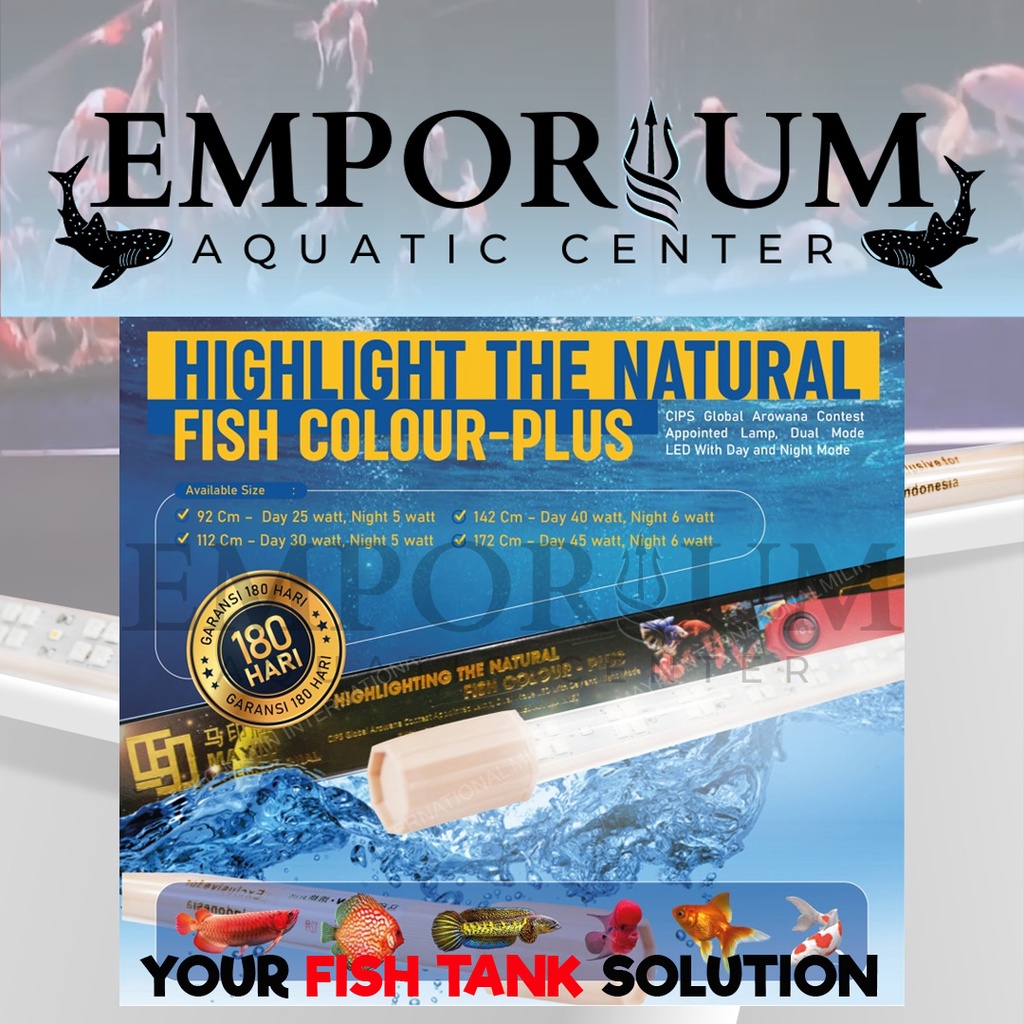 Jual MAYIN VIEW PLUS DAY AND NIGHT 142 CM - LAMPU LED FLAMBOYAN PLUS ...