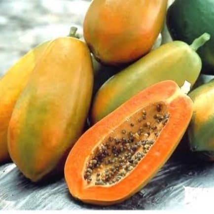 Jual Pepaya Segar Baru Manis 1 kg | Shopee Indonesia