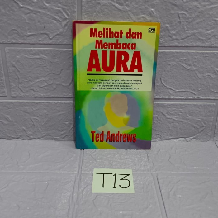 Jual MELIHAT DAN MEMBACA AURA - TED ANDREWS | Shopee Indonesia