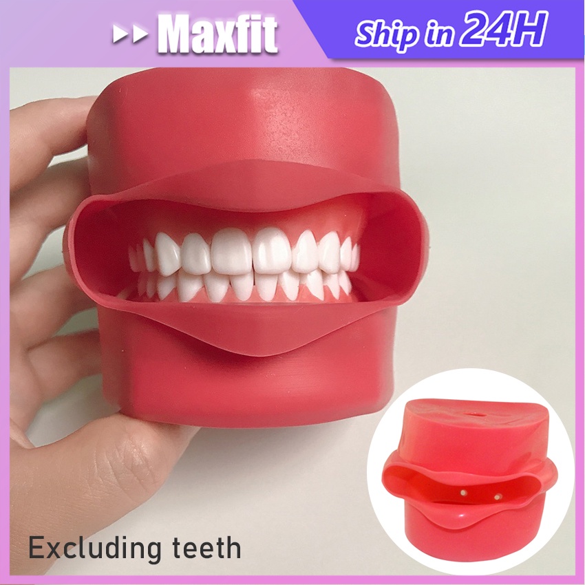 Jual Model Studi Gigi / Phantom Gigi / Dental Model Study Typodont ...