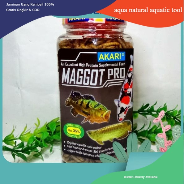 Jual AKARI MAGGOT MAGOT PRO MAKANAN IKAN LOUHAN AROWANA OSCAR ULAT ...