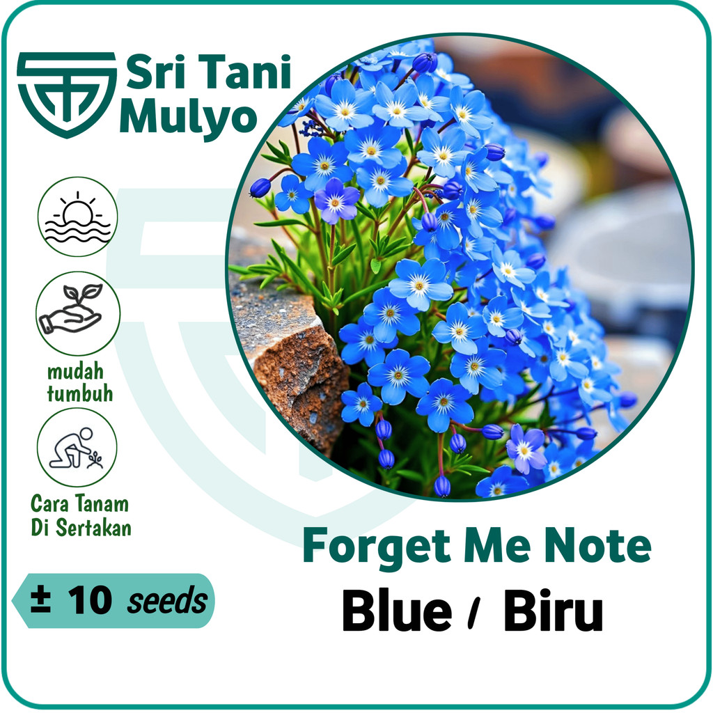 Jual 10 Benih Bunga Forget Me Not biru Sri Tani Mulyo | Shopee Indonesia