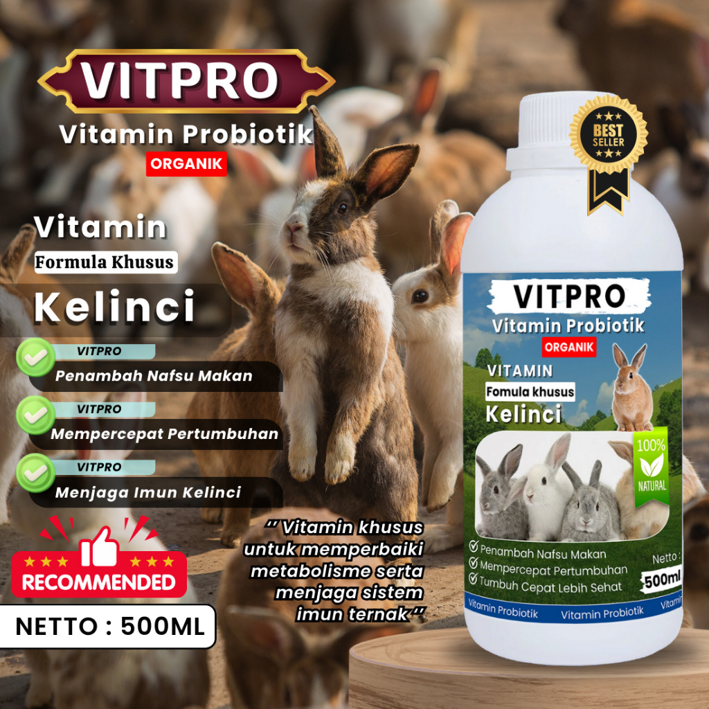 Jual COD VITPRO Vitamin Probiotik Vitamin Suplemen Kelinci Hias Anggora ...