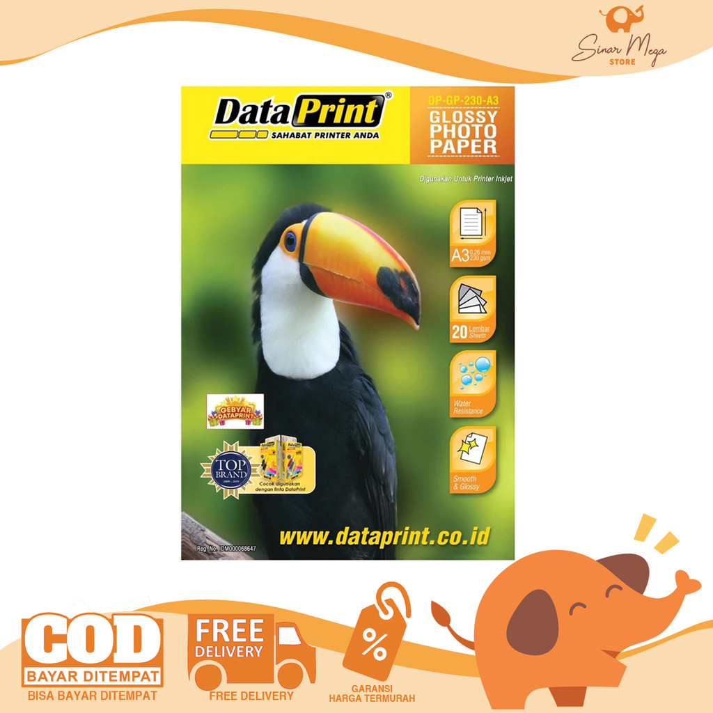 Jual Dataprint Glossy Photo Paper A3 230 gr - Kertas Foto Mengkilap Besar Isi 20 Lembar | Shopee ...