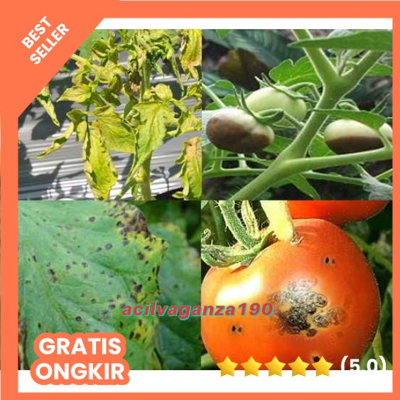 Jual Pupuk PGPR Flora One Plant Growth Promoting Rhizobacteria ...