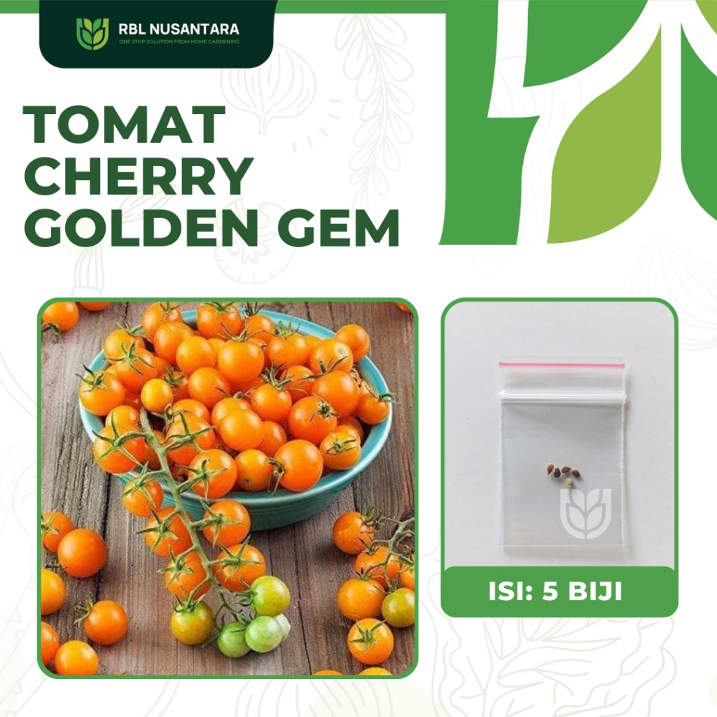Jual 5 Benih Tomat Ceri Mini Golden GEM F1 tomat mini Cherry Tanaman ...