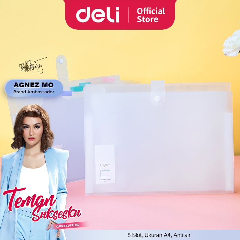 Jual Folder Dokumen Deli School Expanding File A4 8 Map Pembatas Trasparan | Shopee Indonesia