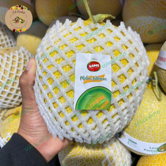 Jual Melon Inthanon Sweet Premium | Buah Melon Inthanon | Pcs | Shopee ...
