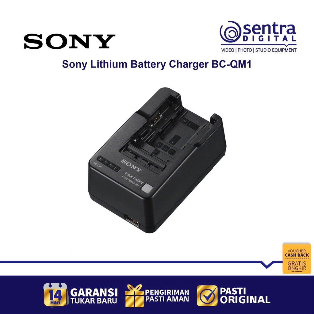 Jual Sony BC-QM1 Charger for Battery H P V M and W series | Shopee ...