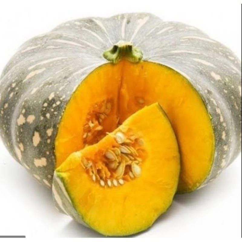 Jual 100+ BIJI BENIH WALOH KUNING BESAR JAWI | Shopee Indonesia