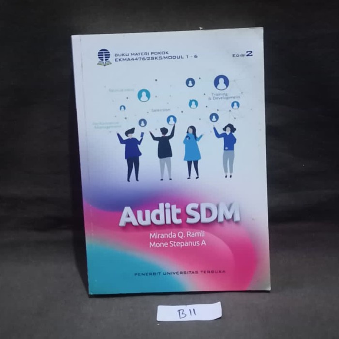 Jual Buku Audit SDM | Shopee Indonesia