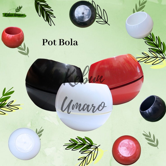 Jual Pot Bola Ukuran L / Pot Bulat / Pot Plastik Bola / Pot Super Bola ...
