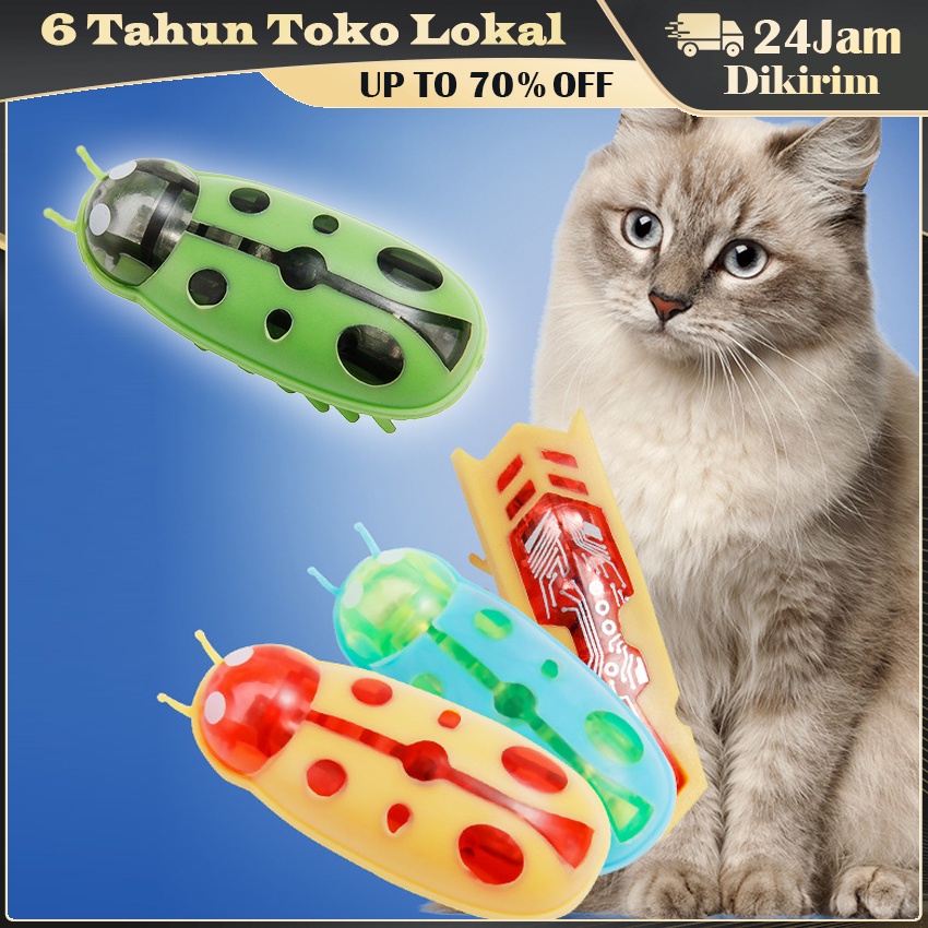 Jual Mainan Kecoa Robot + Baterai / Kecoa Racing / Kecoa Balap / Hexbug ...