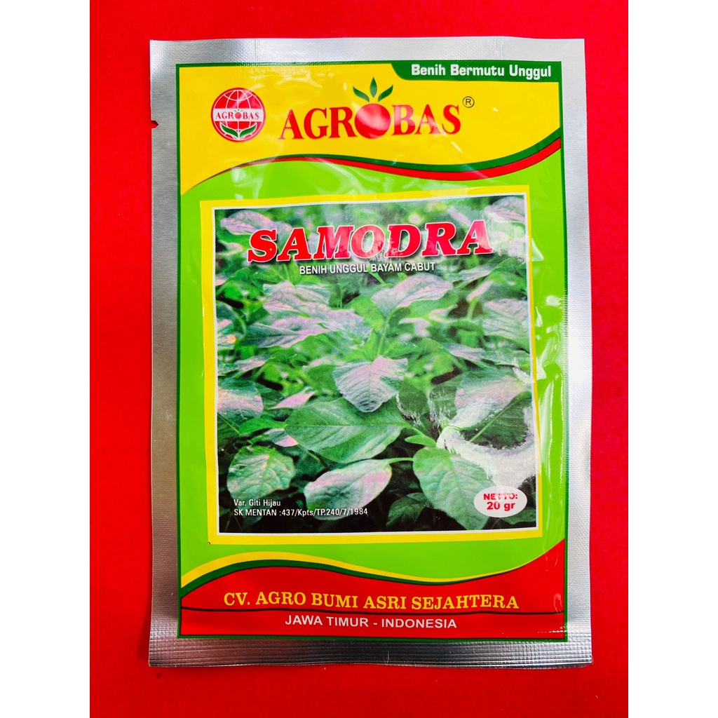 Jual “SAMODRA” kemasan 20grm Benih Unggul Bayam Cabut dari agrobas ...