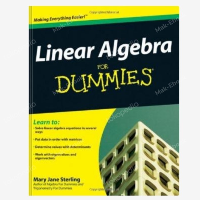 Jual Buku Linear Algebra For Dummies | Shopee Indonesia