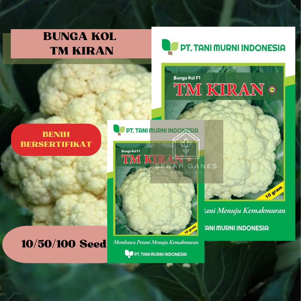 Jual NEW Biji Benih Bunga Kol F1 TM Kiran Ori - Repack 10 & 50 Bibit ...