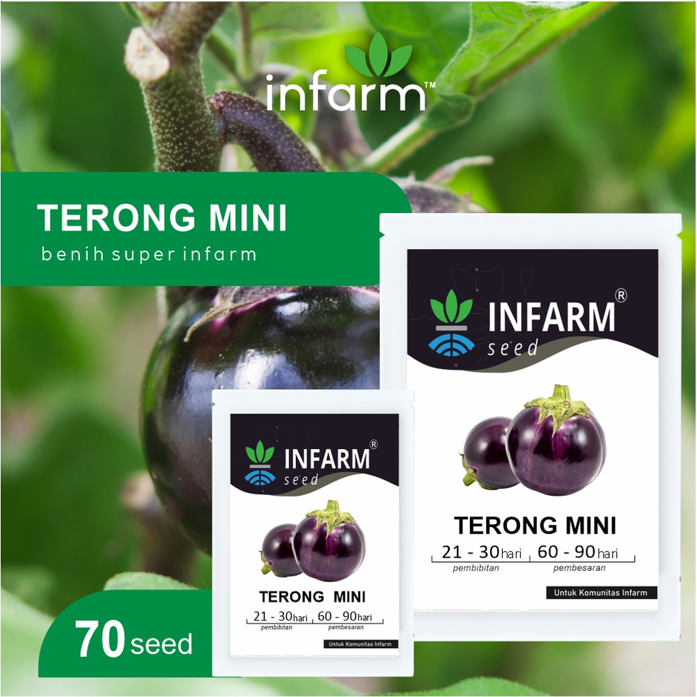 Jual INFARM - Benih Super Terong Ungu Bulat Mini Benih Terong Lalapan ...