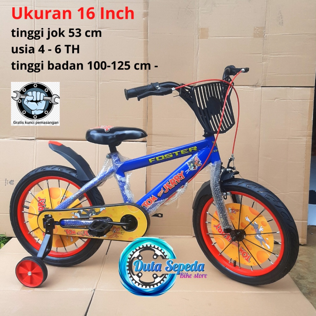 Jual Sepeda anak laki ukuran 16 inch anak usia 4 - 6 tahun | Shopee ...