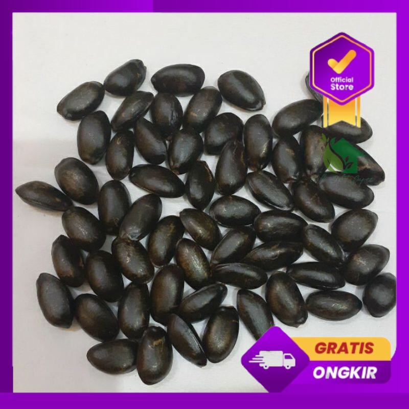 Jual Benih biji mulwo srikaya Patek surikaya Patek 100gr unggulan siap ...