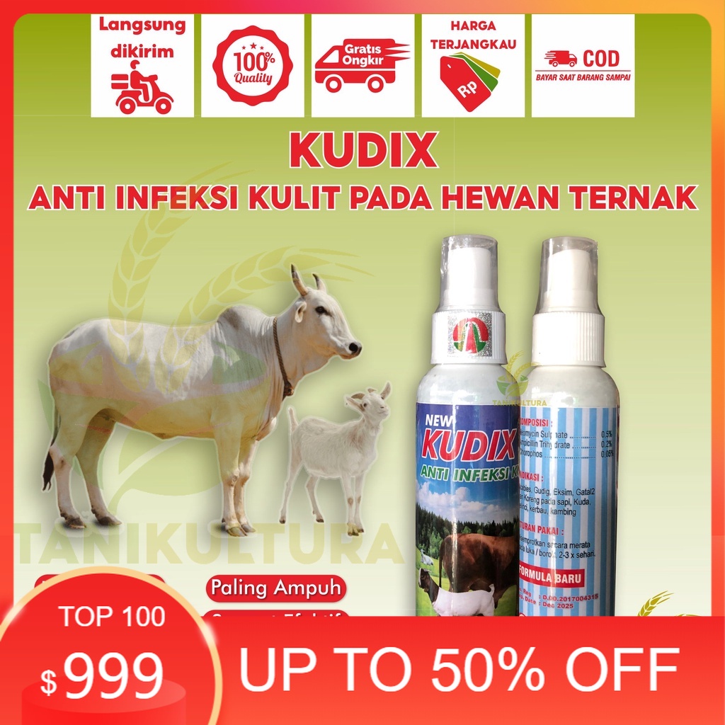 Jual Obat Scabies Sapi Paling Ampuh Kudix Spray Mengobati Kulit Koreng ...