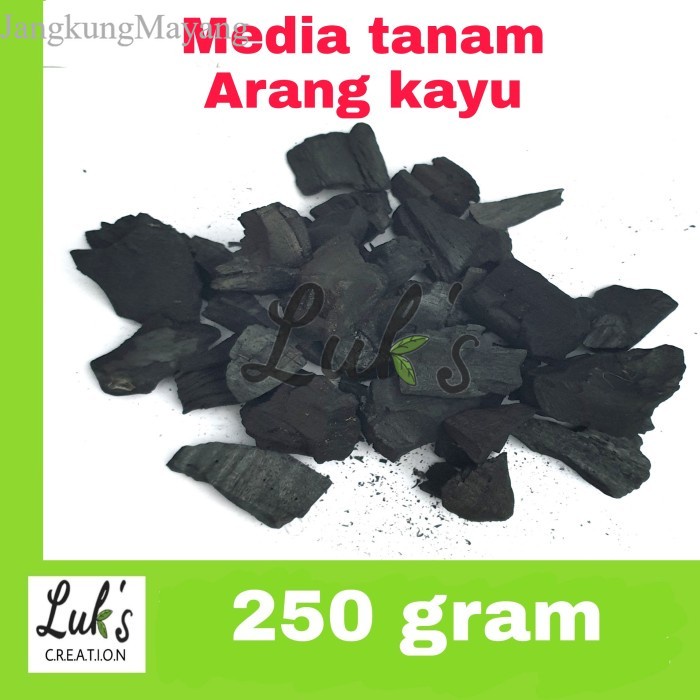 Jual Arang kayu bakar media tanam anggrek arang panggangan - Arang bakar murah | Shopee Indonesia