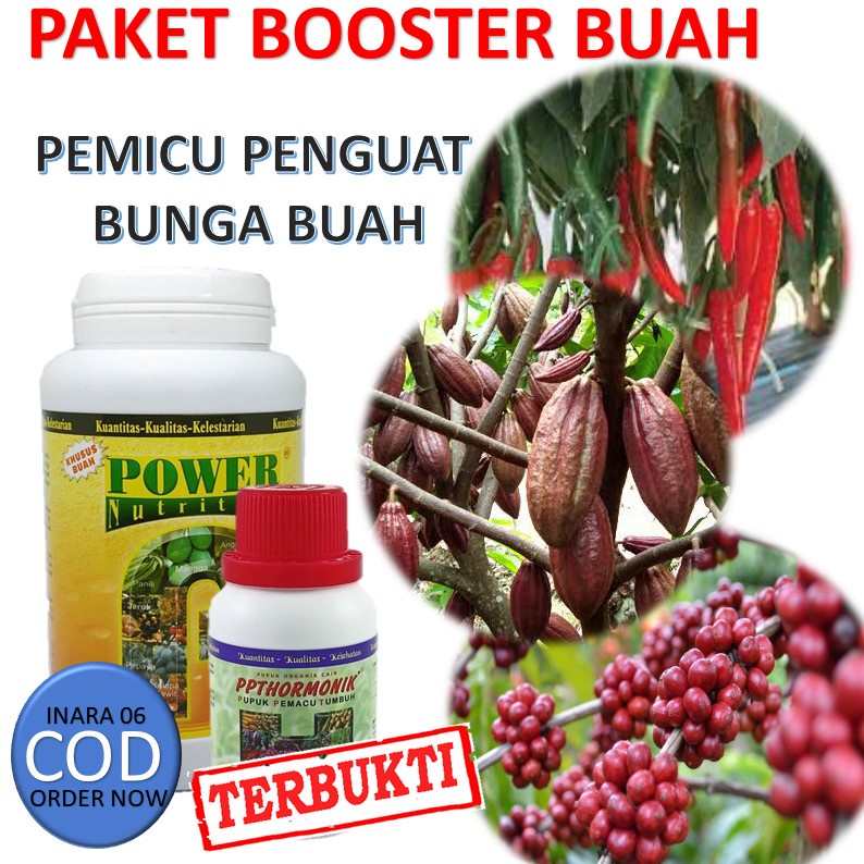 Jual Pupuk Organik Untuk Tanaman Buah/Pupuk Organik Agar Cepat Berbuah ...