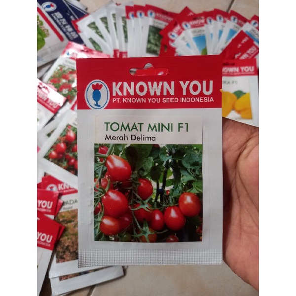 Jual Benih Bibit Tomat Mini F1 Cherry Merah Delima - Known You Seed ...