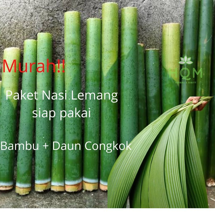 Jual Bambu Lemang Siap Pakai - Paket Nasi Lemang / Leumeung khas Sunda ...
