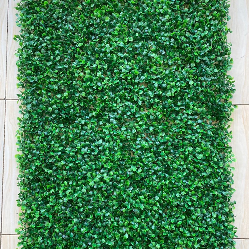 Jual PROMO DAUN DOLAR SINTETIS PREMIUM - TANAMAN RAMBAT DINDING ...