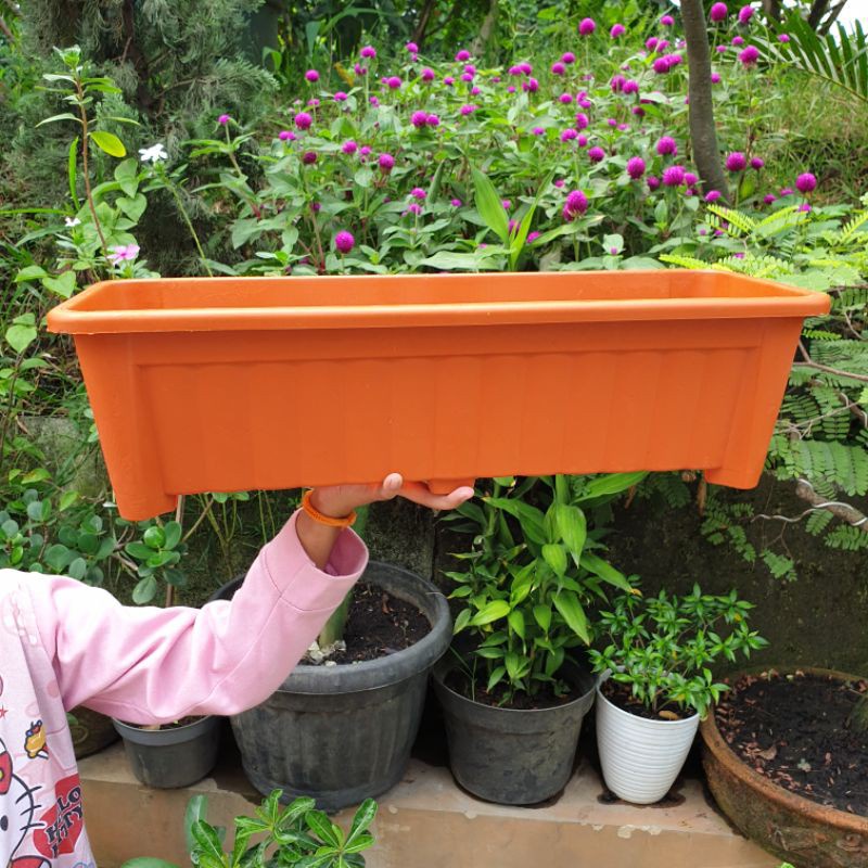 Jual (1pc) POT PANJANG HW 55 (50cm) : pot bunga segi panjang high way ...