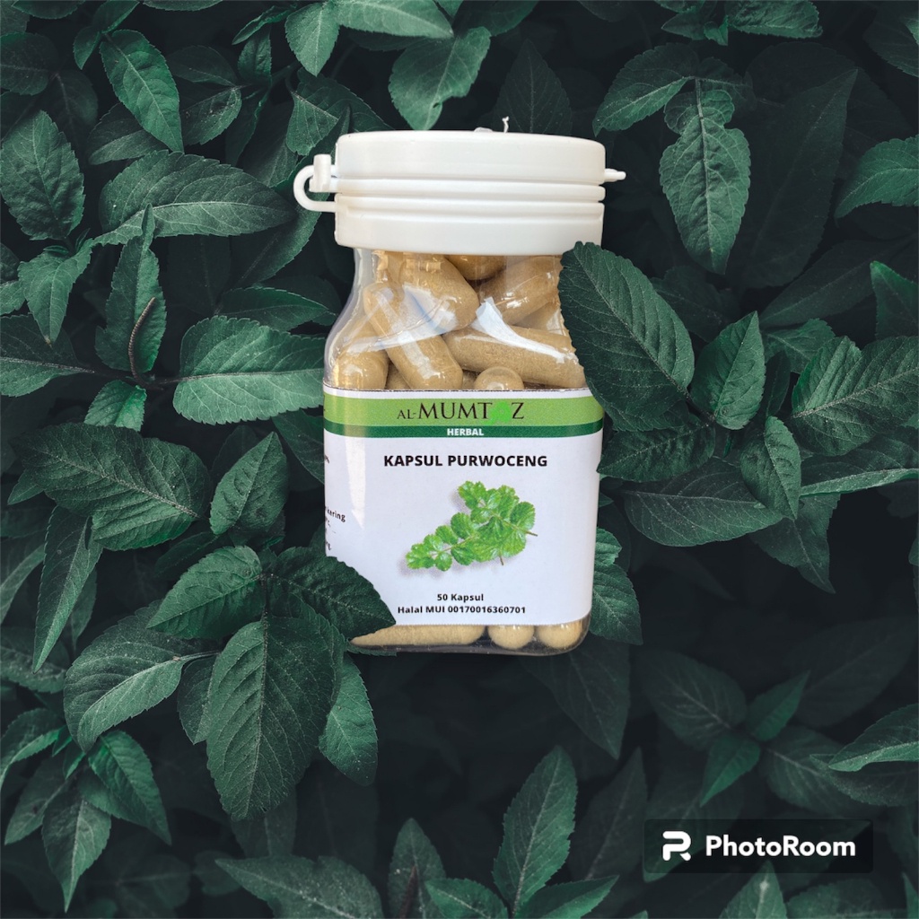 Jual Kapsul Purwoceng Original Obat Kuat Pria Tahan Lama Sex Stamina Asli Dieng Shopee Indonesia