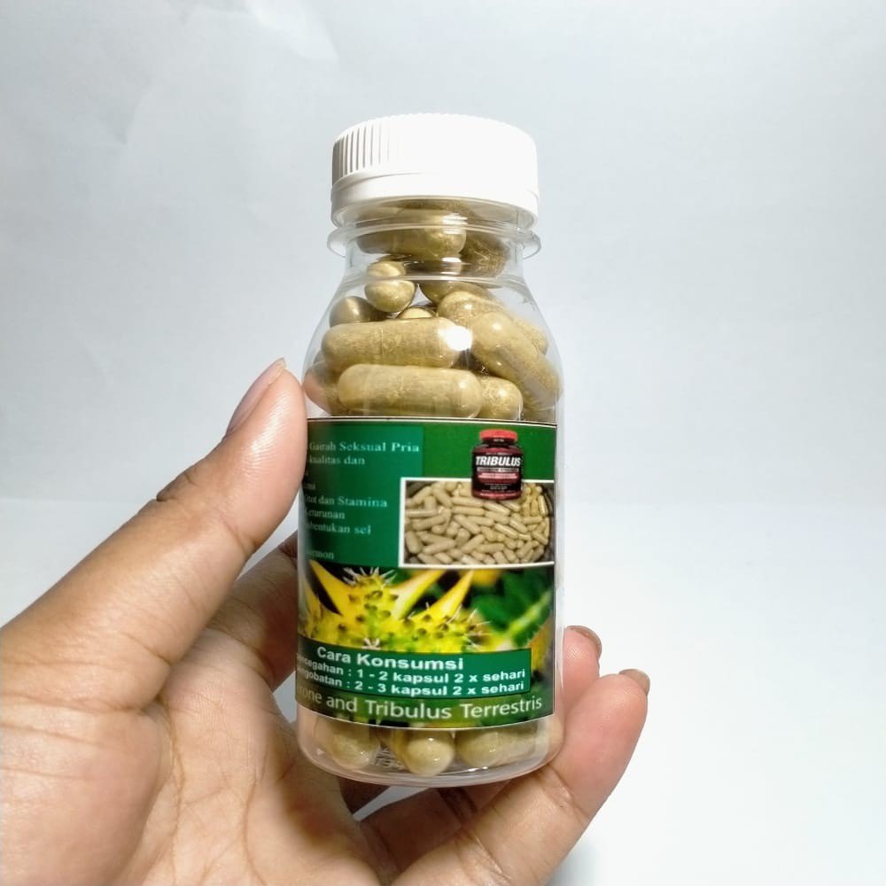 Jual Tribulus 60 kapsul Obat Jamu Herbal Testoterone And Terrestris ...