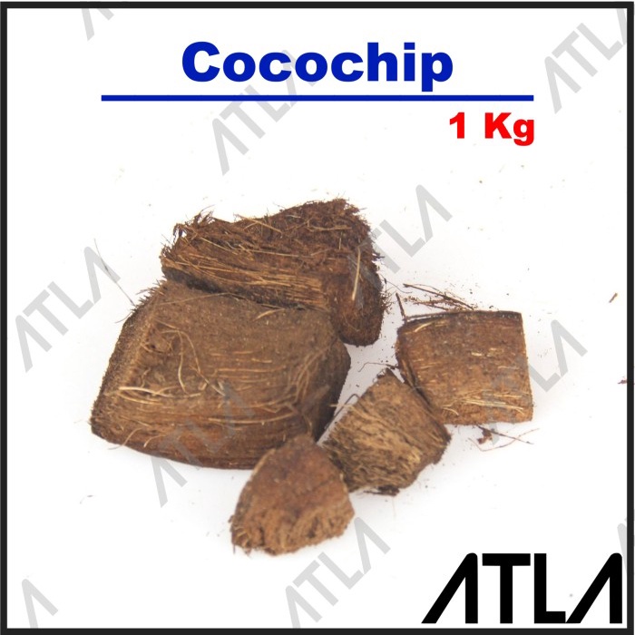 Jual Cocochip 1 kg Coco Chip Sabut Serabut Kulit Kelapa Sepet Media ...