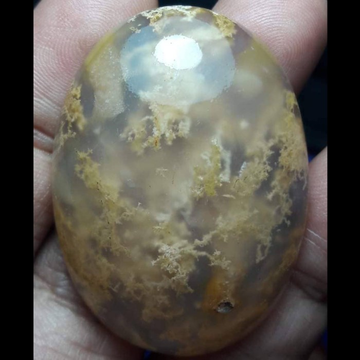 Jual Natural Batu Akik Lumut Kristal Motif Gambar Hutan Pohon Coklat ...