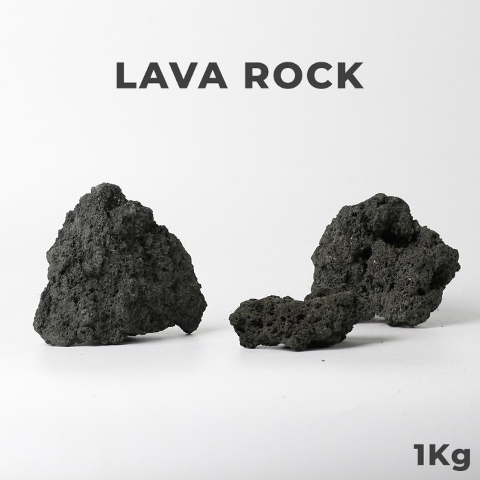 Jual Batu Lava Rock Hitam / Black Lava Rock Stone Aquascape Aquarium ...