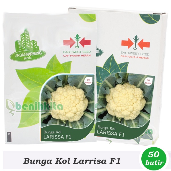 Jual Benih-Bibit Bunga Kol Dataran Rendah Larissa F1 - Cap Panah Merah ...