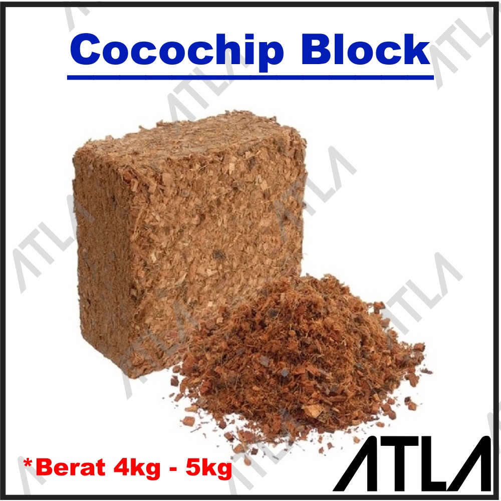 Jual Cocochip Block Sabut Kelapa Serabut Kulit Sepet Media Tanam ...