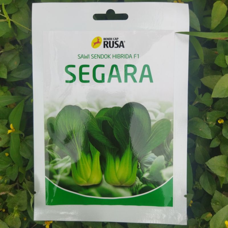 Jual BENIH SAWI SENDOK SEGARA F1 10 GRAM | Shopee Indonesia