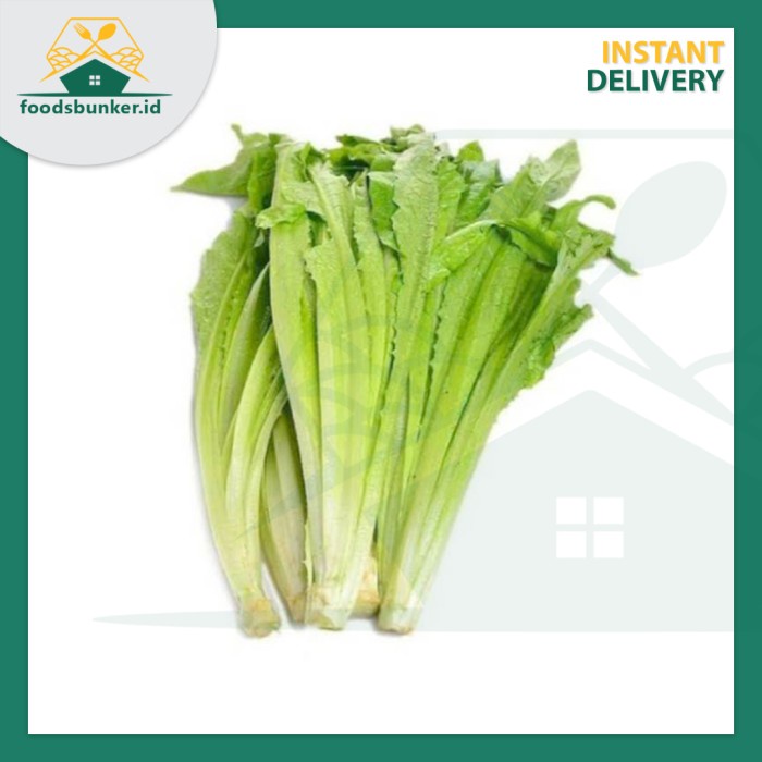 Jual Siomak Selada Wangi | Shopee Indonesia