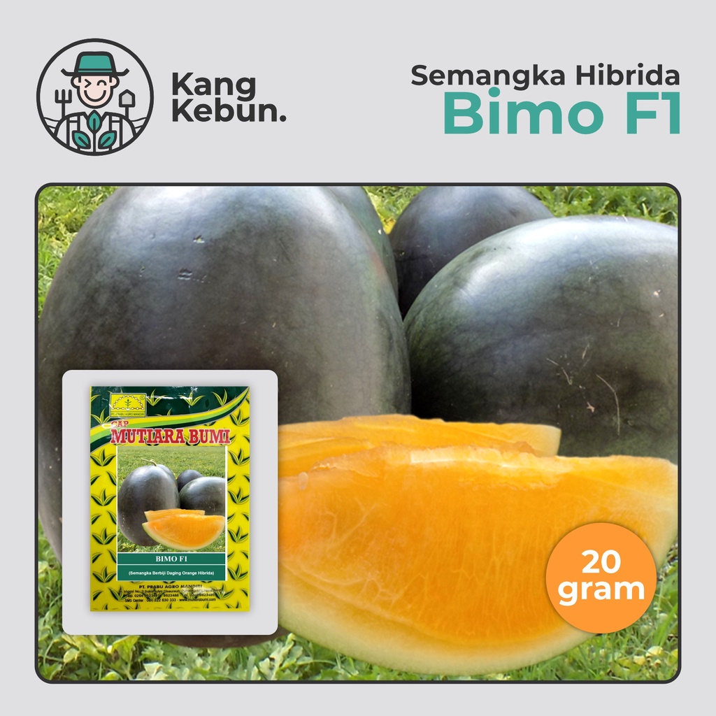 Jual Benih Semangka Bimo F1 20 Gram isi 500-600 biji Cap Mutiara Bumi ...