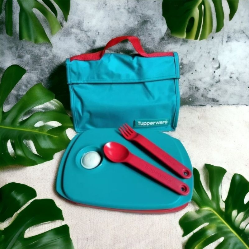 Jual Wadah Tempat Bekal Makan Makanan Set Tas Bring Your Own BYO Lunch ...