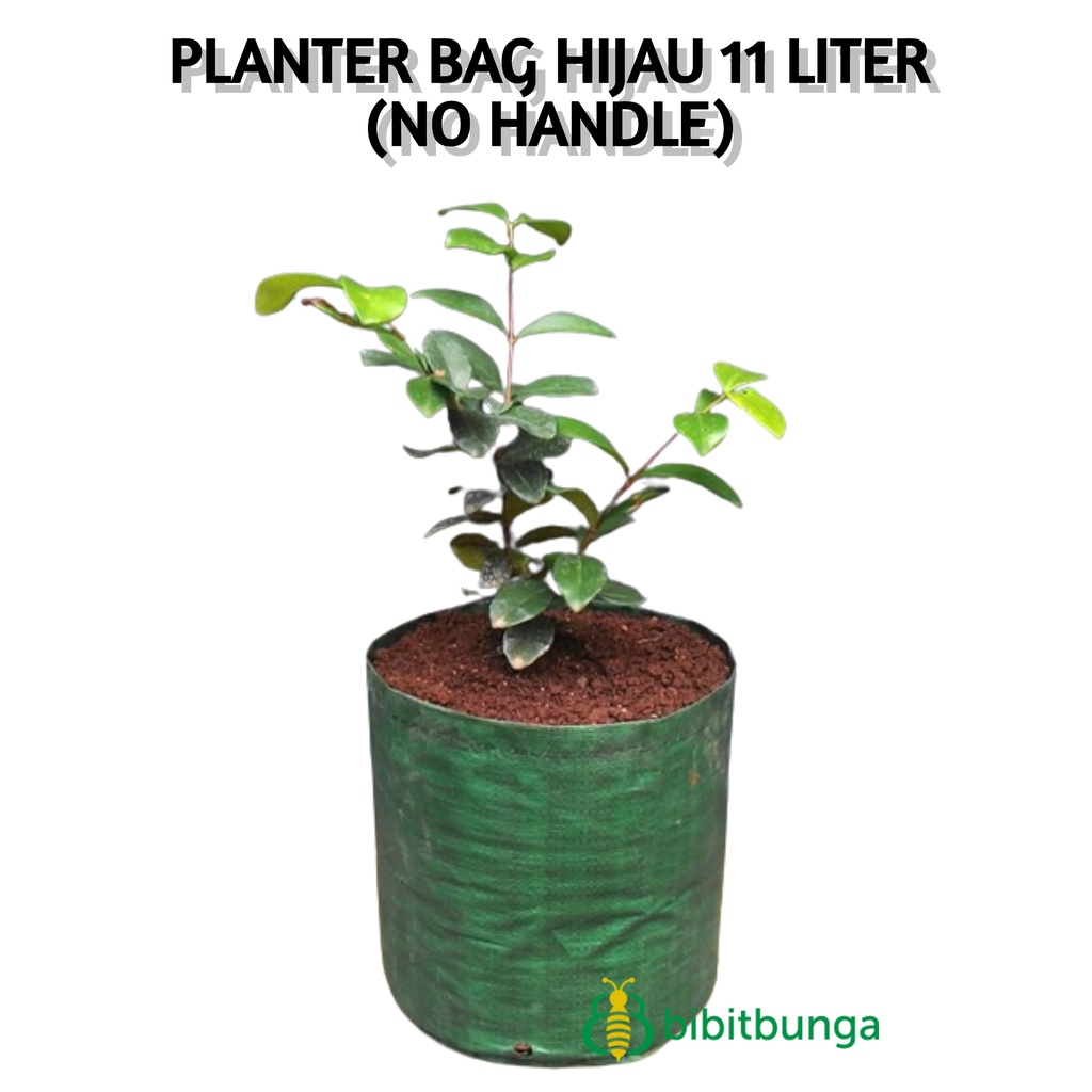 Jual Planter Bag Easy Grow 11 Liter No Tanpa Handle Hijau Polybag ...