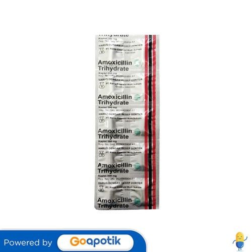 Jual Amoxicillin Trihydrate Rama 500 Mg Strip 10 Tablet | Shopee Indonesia
